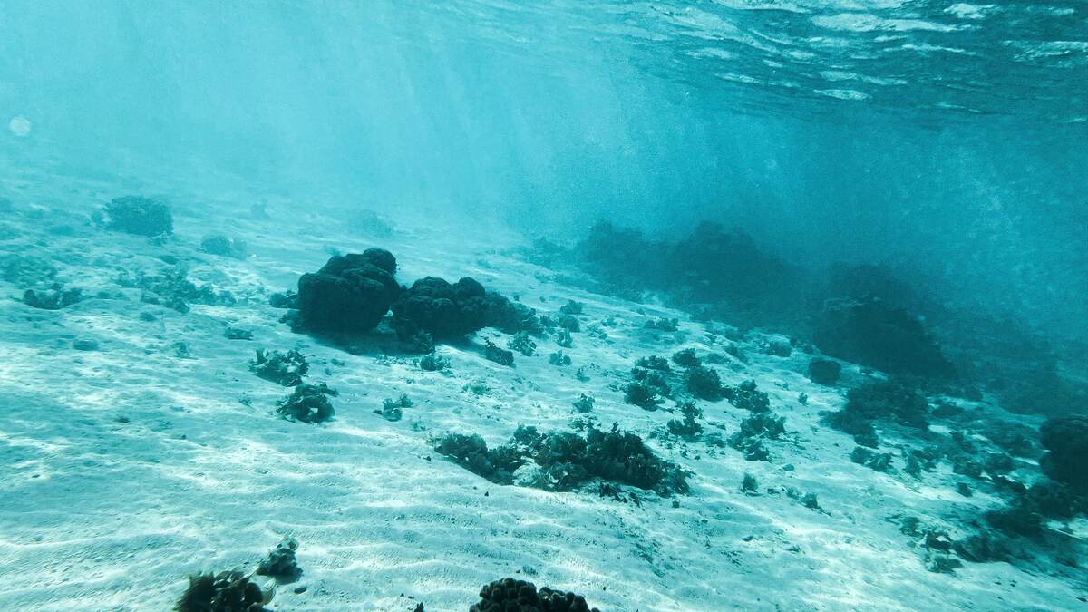 Marine Environmental Management tips - Staterra